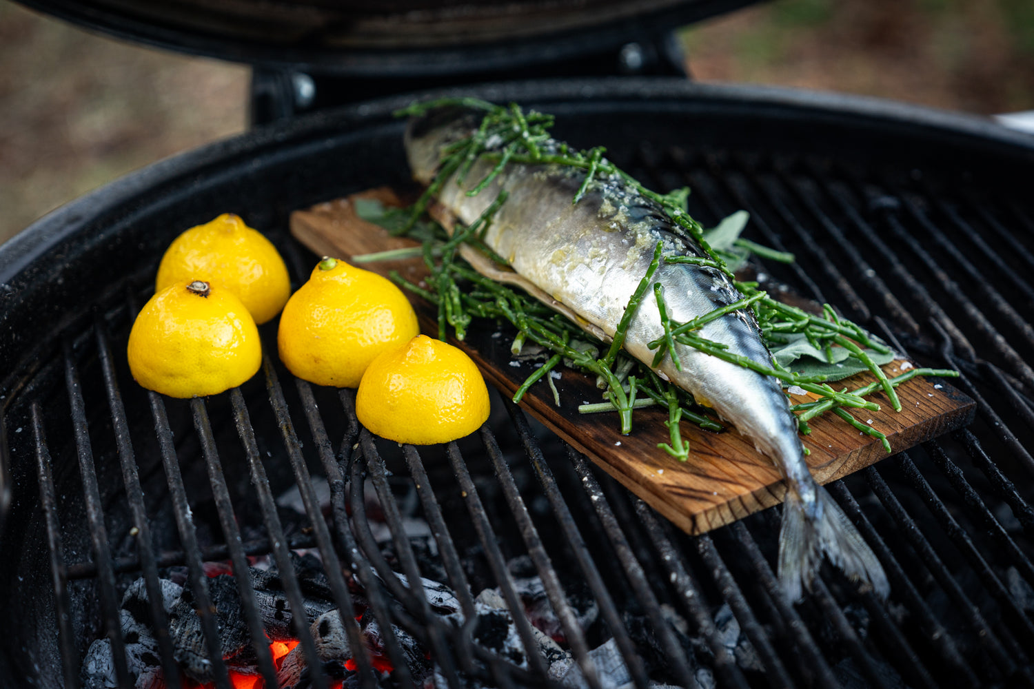 Simple Fish Cooking (Plank Style Cooking) – www.houseofcharcoal.co.uk